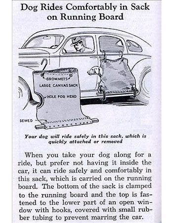 Top 10 Dumbest Inventions | Fox News