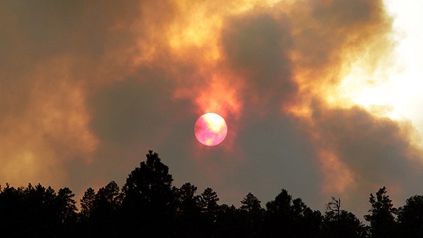 Arizona Wildfire Near Biggest in State's History | Fox News