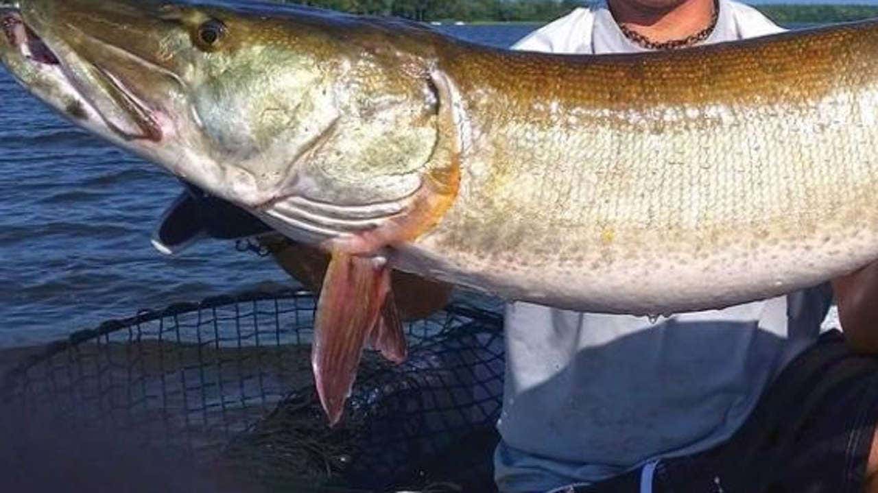 Fish attack at Minnesota lake leaves girl, 11, with deep lacerations to ...