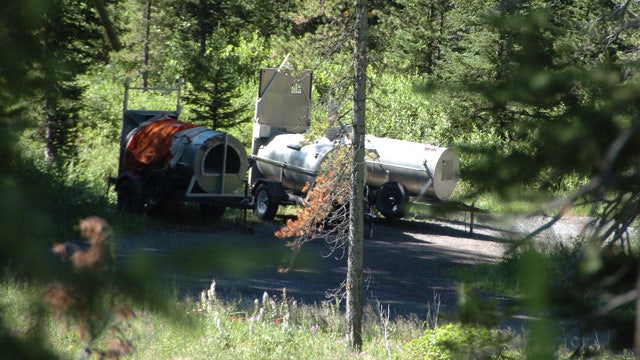 Grizzly Bears Captured After Fatal Mauling Near Yellowstone | Fox News