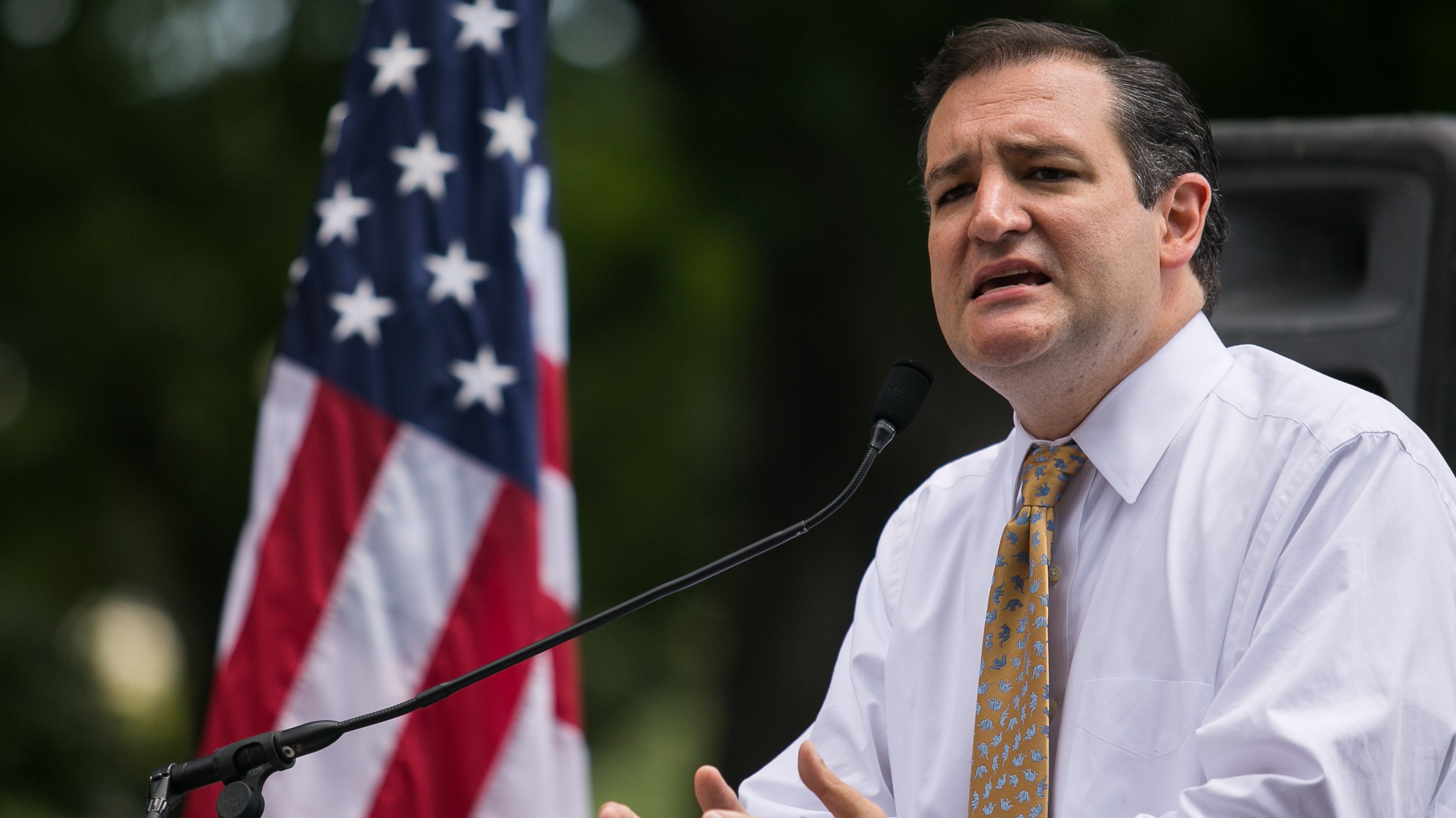 Sen. Ted Cruz Moves Front And Center In GOP Response To Border Crisis ...