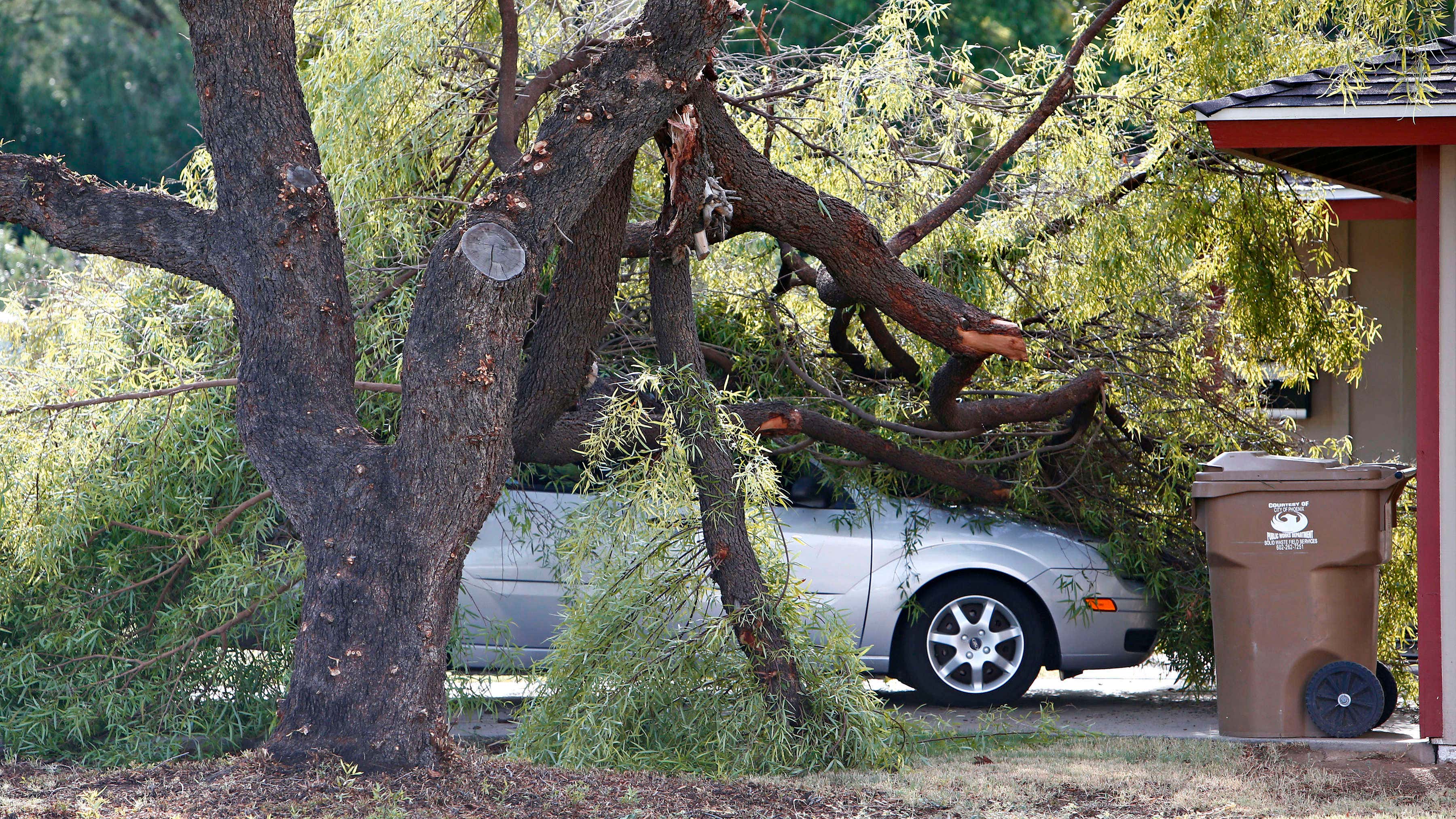 Large storm leaves thousands without power in Phoenix | Fox News