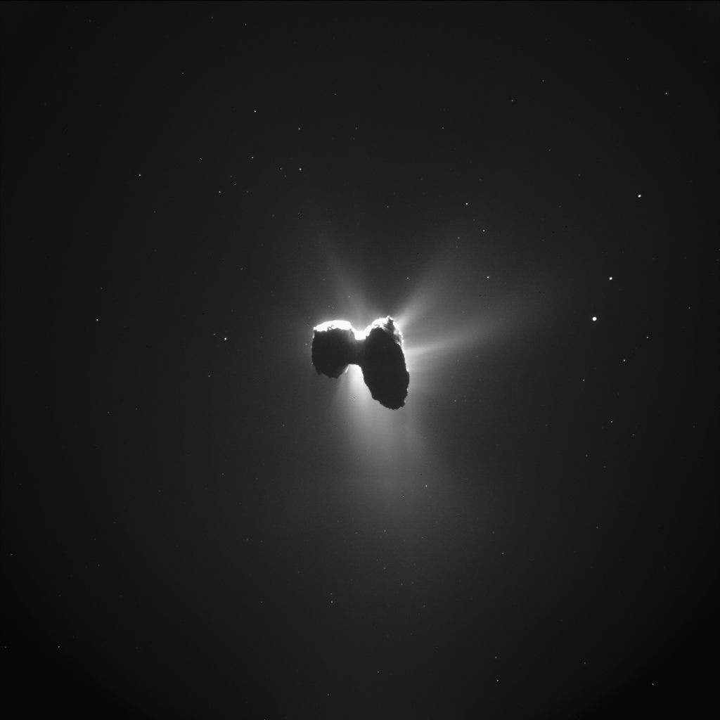 Space probe confirms chemicals of life in comet's halo | Fox News