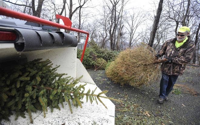 Man pulled into wood chipper dies 'within seconds' | Fox News