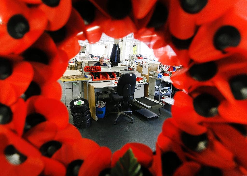 In centenary of WWI, the red poppy remains potent symbol connecting ...