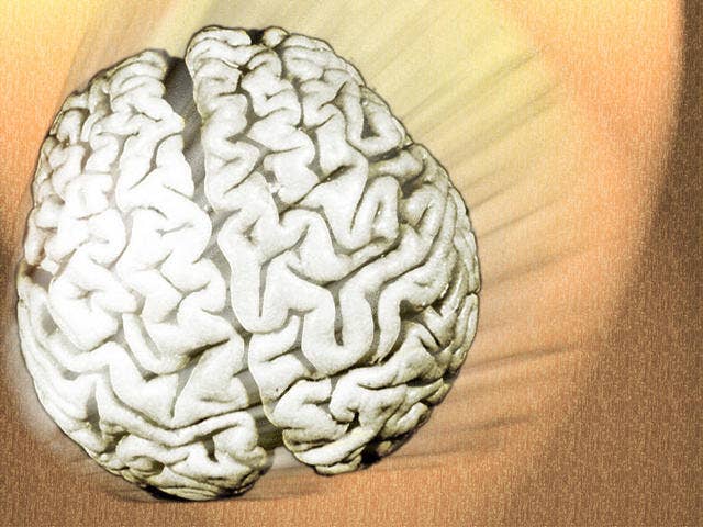 Dieting Forces Brain to Eat Itself, Scientists Claim | Fox News