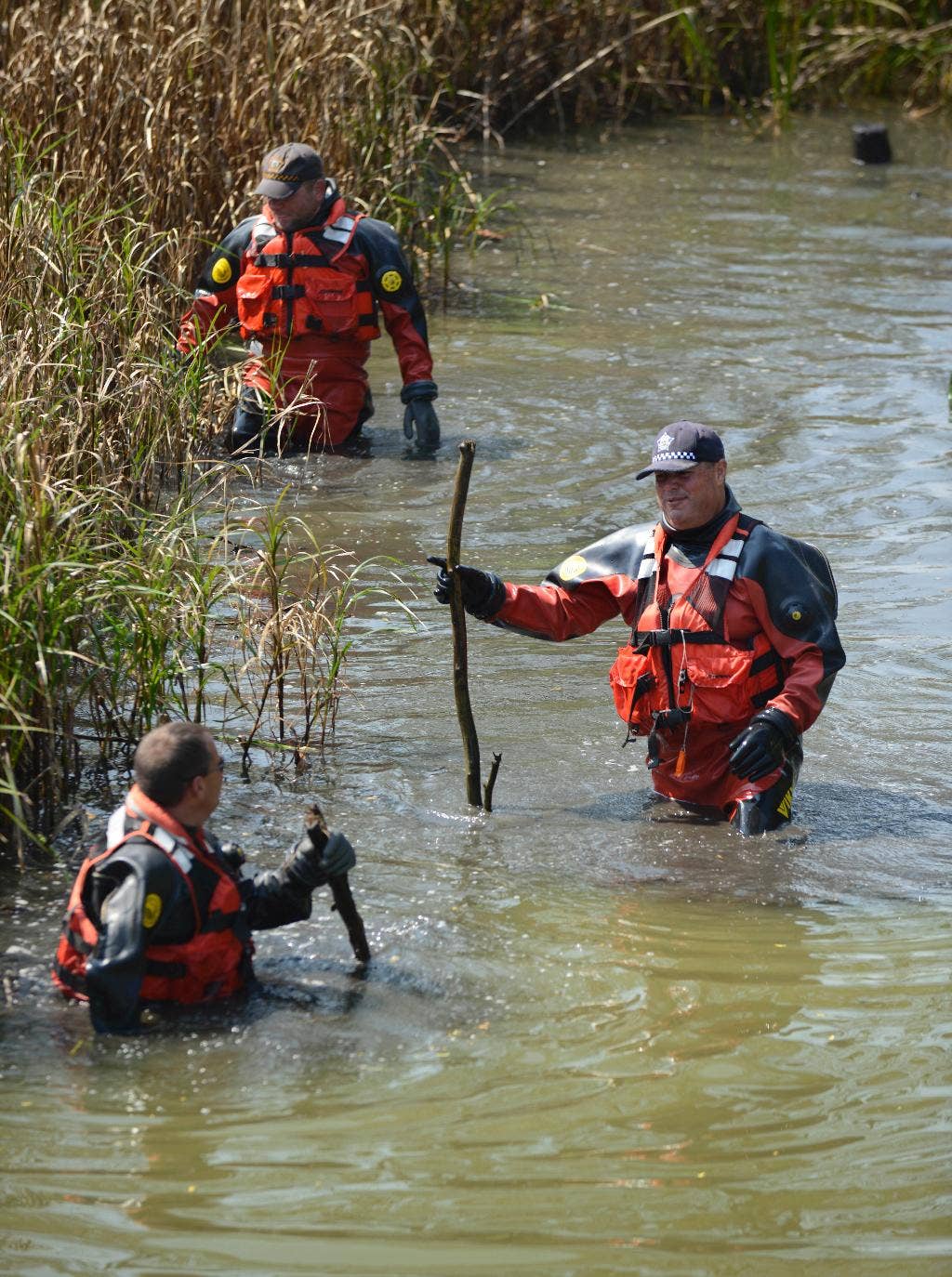 Toddler's decomposing body parts found in Chicago park; police ...