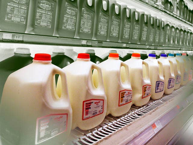 Milk, Once Shunned by Dieters, is Back | Fox News