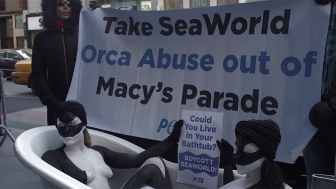 Nude protest against SeaWorld planned for Macy's Thanksgiving Day ...