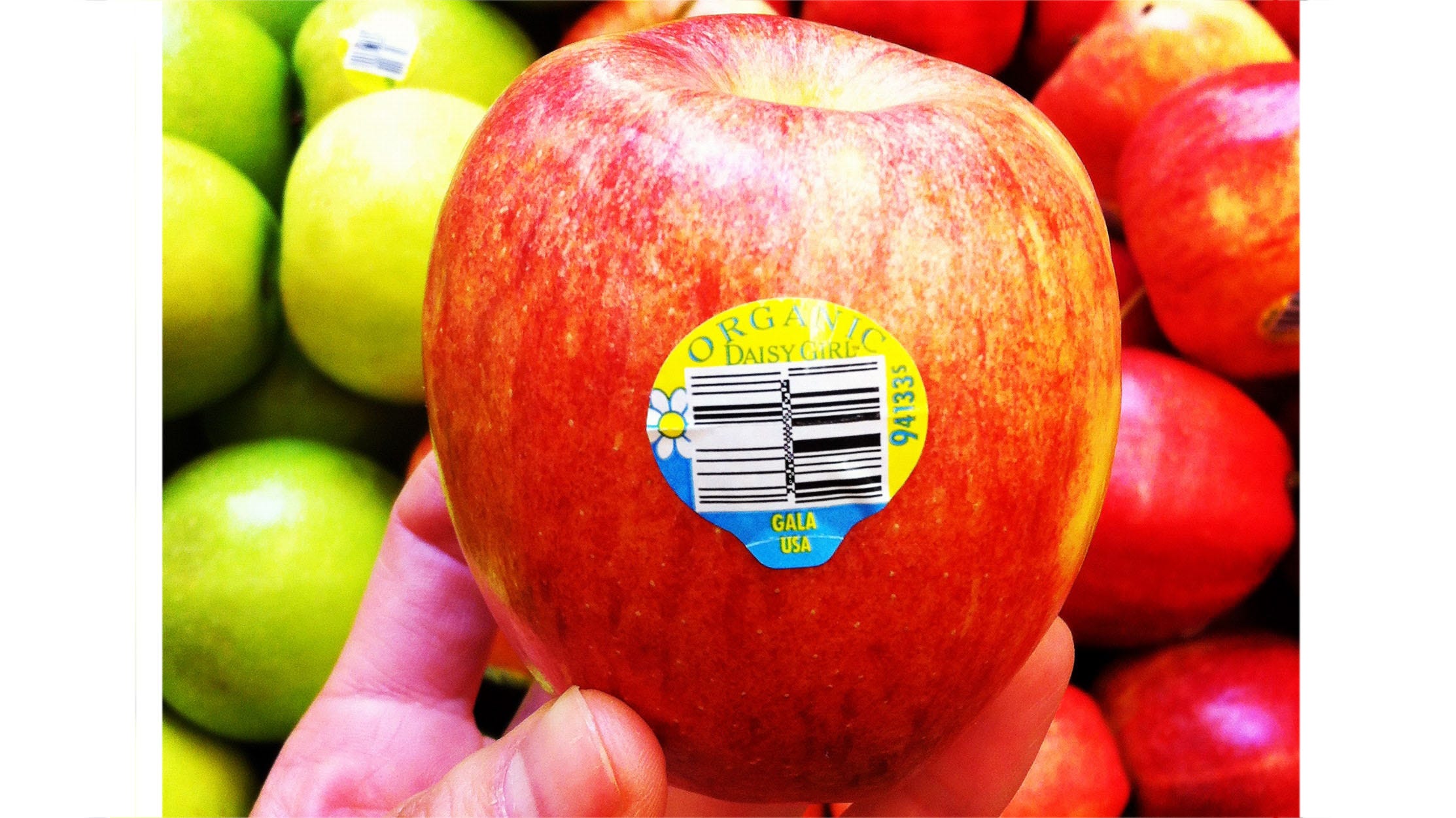Food labels, decoded | Fox News