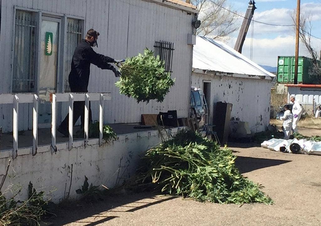 Dozens arrested in Denver area pot raids targeting exporters | Fox News