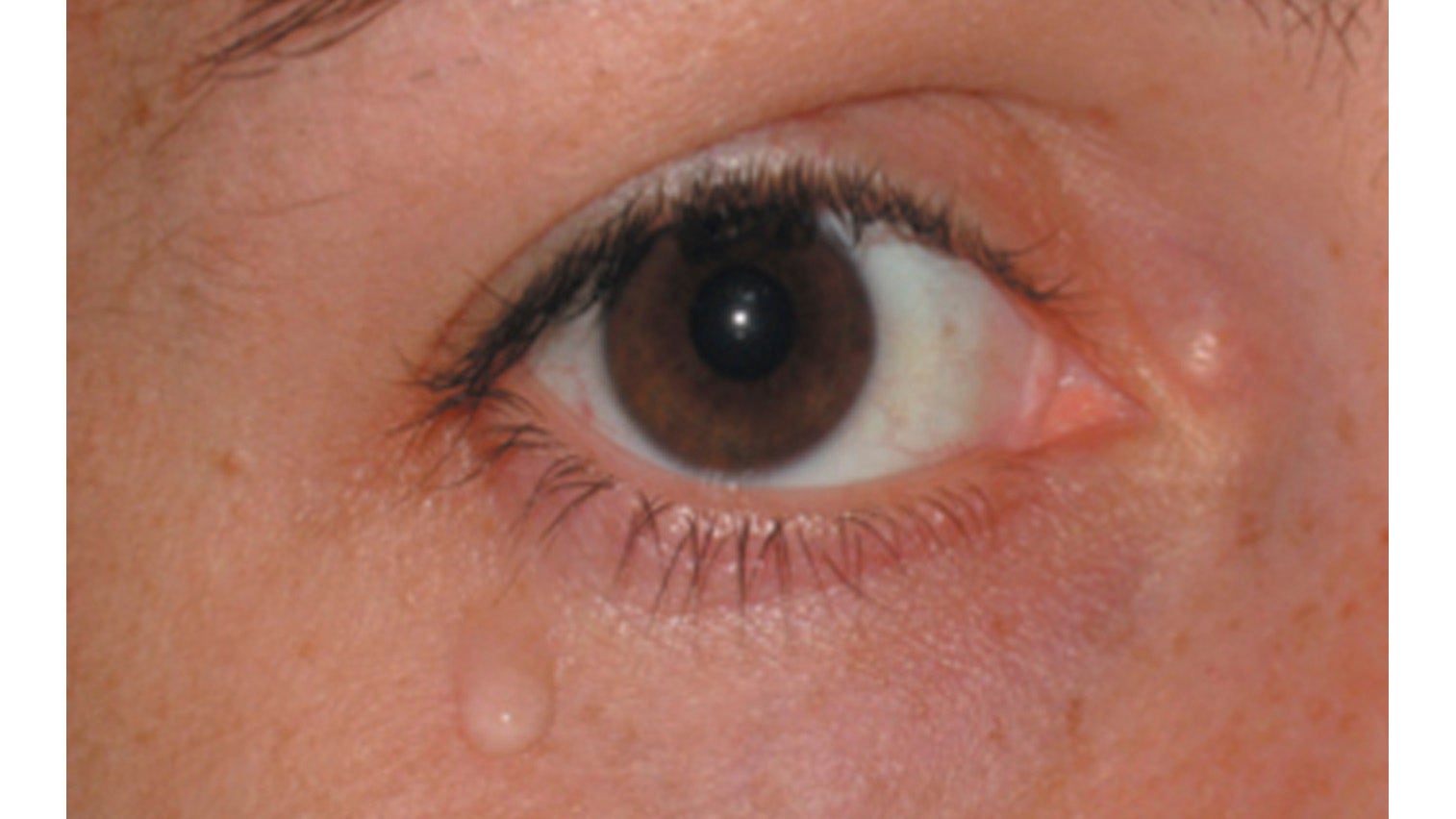 Women's Tears Turn Men Off, Study says | Fox News