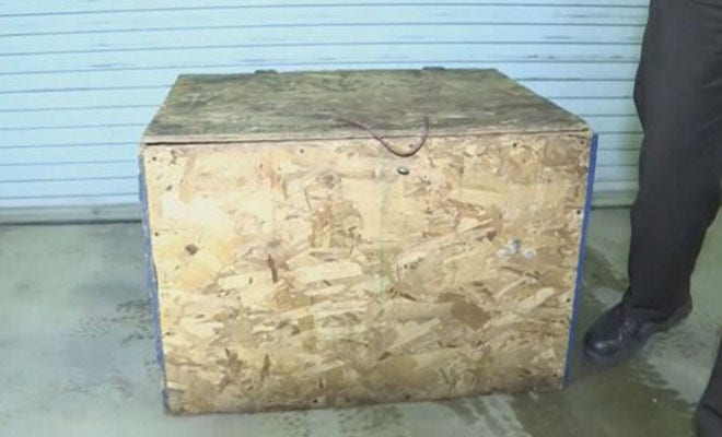 Prison phone call alerts authorities to 3-year-old in bug-infested box ...