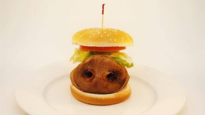 'Mystery Meat' revealed: What are you really eating? | Fox News