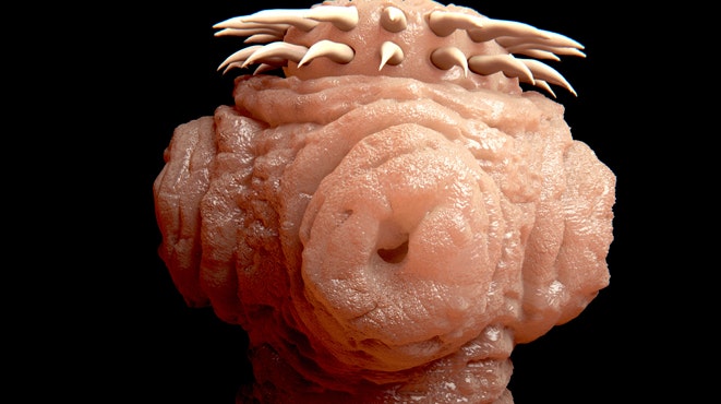 Surgeons remove tapeworm from brain of man suffering headaches ...