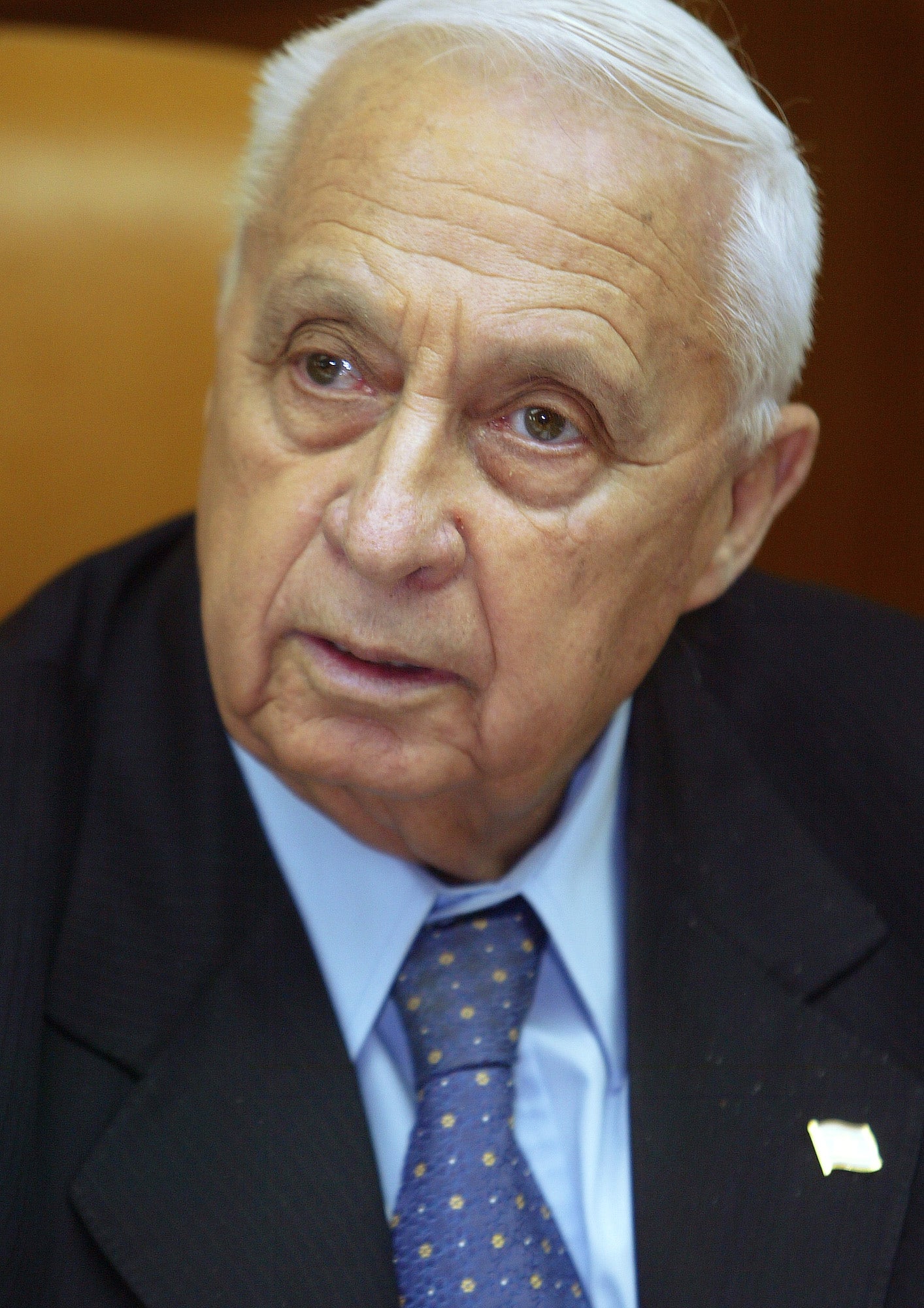 Scientists say comatose former Israeli leader Ariel Sharon shows ...