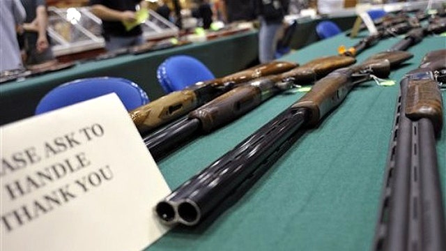 Pro-gun voters put heat on Democratic senators | Fox News