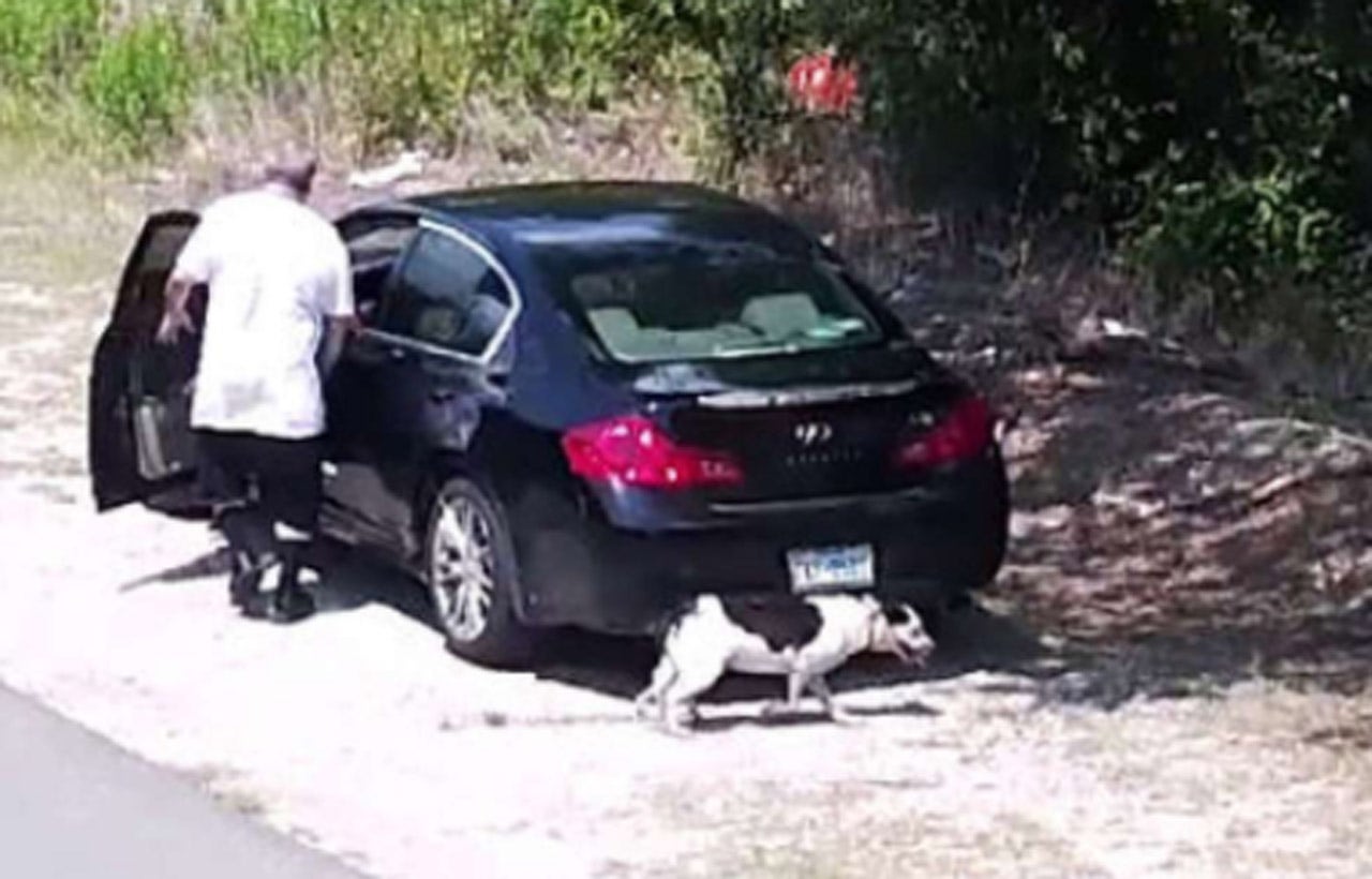 Video captures Texas man allegedly abandoning dog | Fox News
