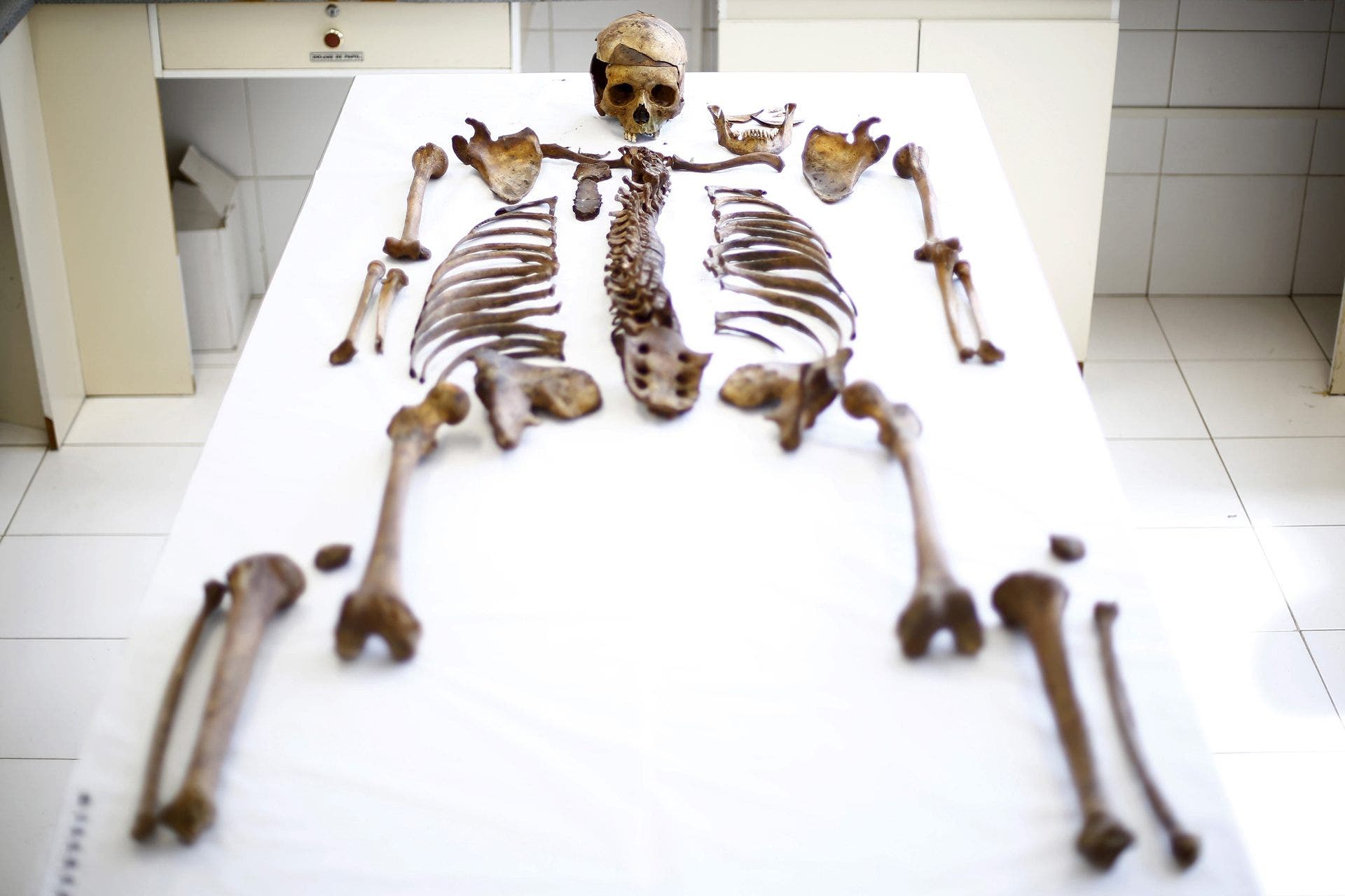 New medical camera is able to see light from inside the human body ...