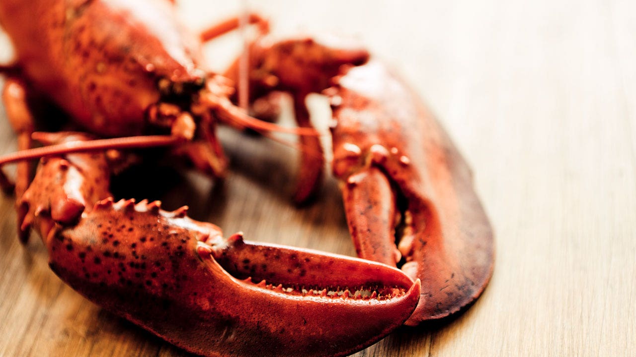 132-year-old lobster 'pardoned' by seafood restaurant, released into ...