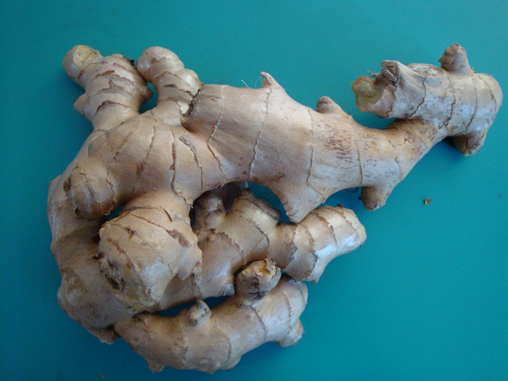 Using Ginger For Medicine | Fox News