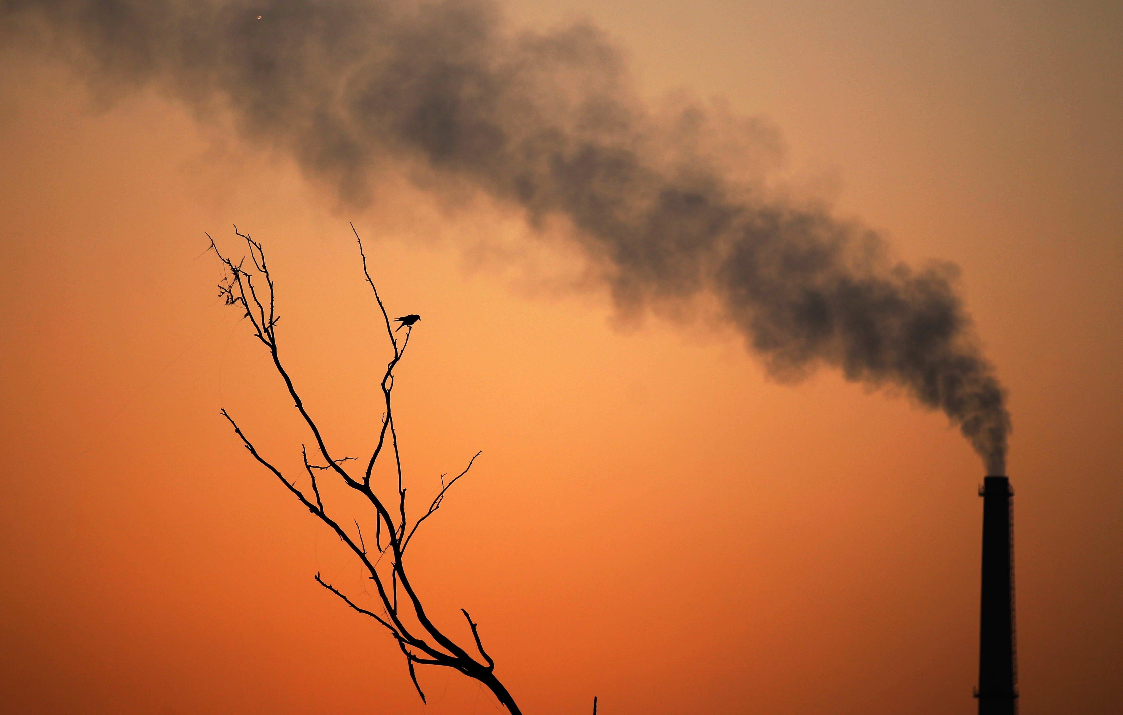 UN agency: CO2 concentrations grew at record rate in 2016 | Fox News
