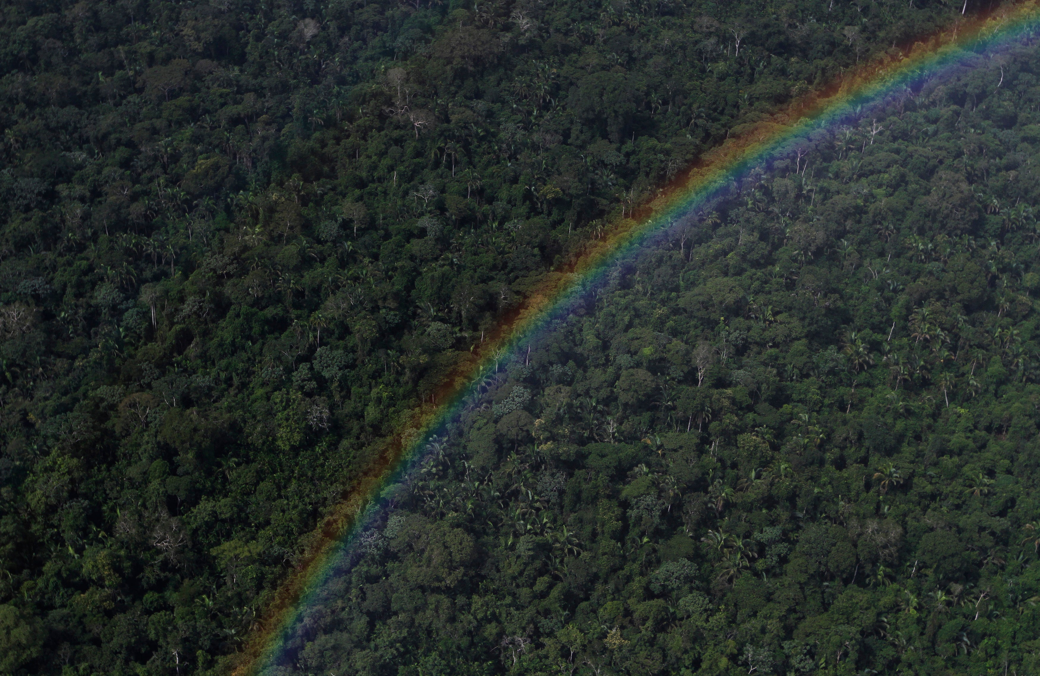 Mysterious earthen rings predate Amazon rainforest | Fox News