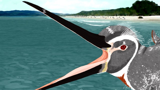 Ancient Penguins Were Giant, Colorful Beasts, New Fossils Reveal | Fox News