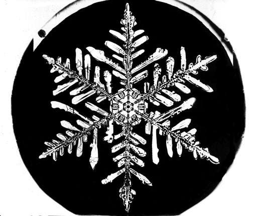 The Pioneering Snowflake Photos of Wilson Bentley | Fox News