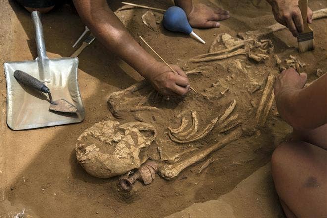 Big discovery could reveal the true story of the Philistines | Fox News