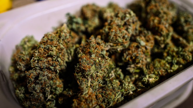 Border Patrol arrests teen with 3 pounds pot stuffed in bike tires ...