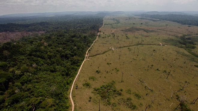 Brazil: Destruction Of Amazon Jumps 28 Percent | Fox News