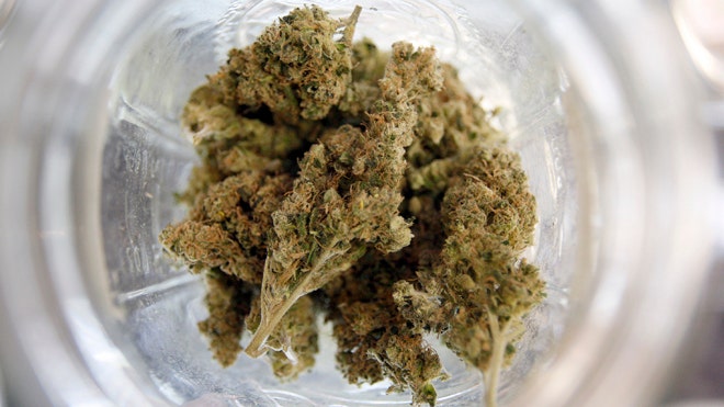 Marijuana derivative approved in Brazil for medical treatment | Fox News