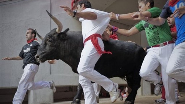 Man Apparently Drunk Gored to Death After Provoking Bull | Fox News