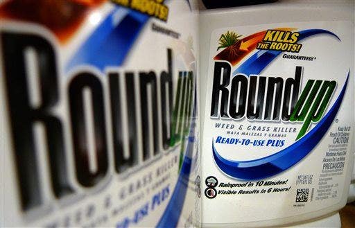 Cancer-stricken farmers sue Monsanto over Roundup | Fox News