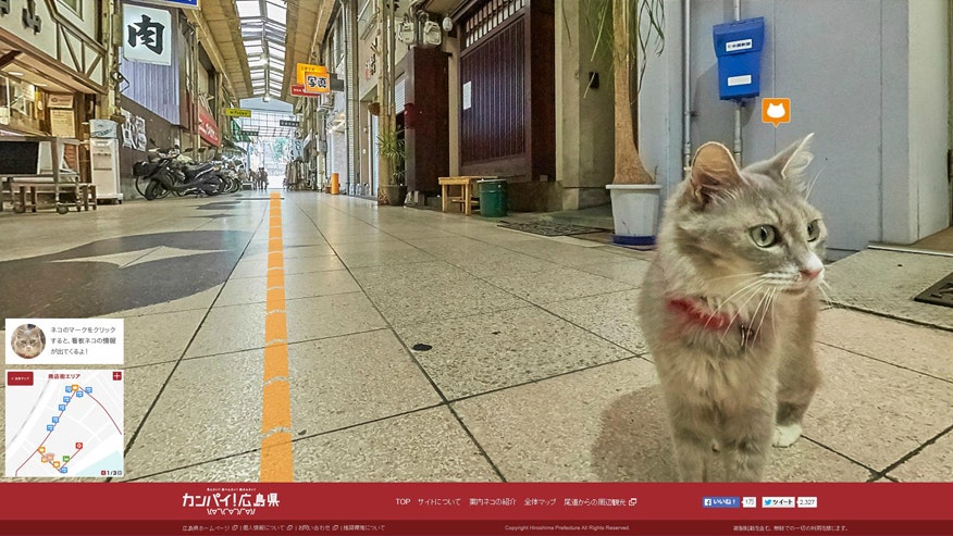 Japan introduces Cat Street View because the world needs to know | Fox News