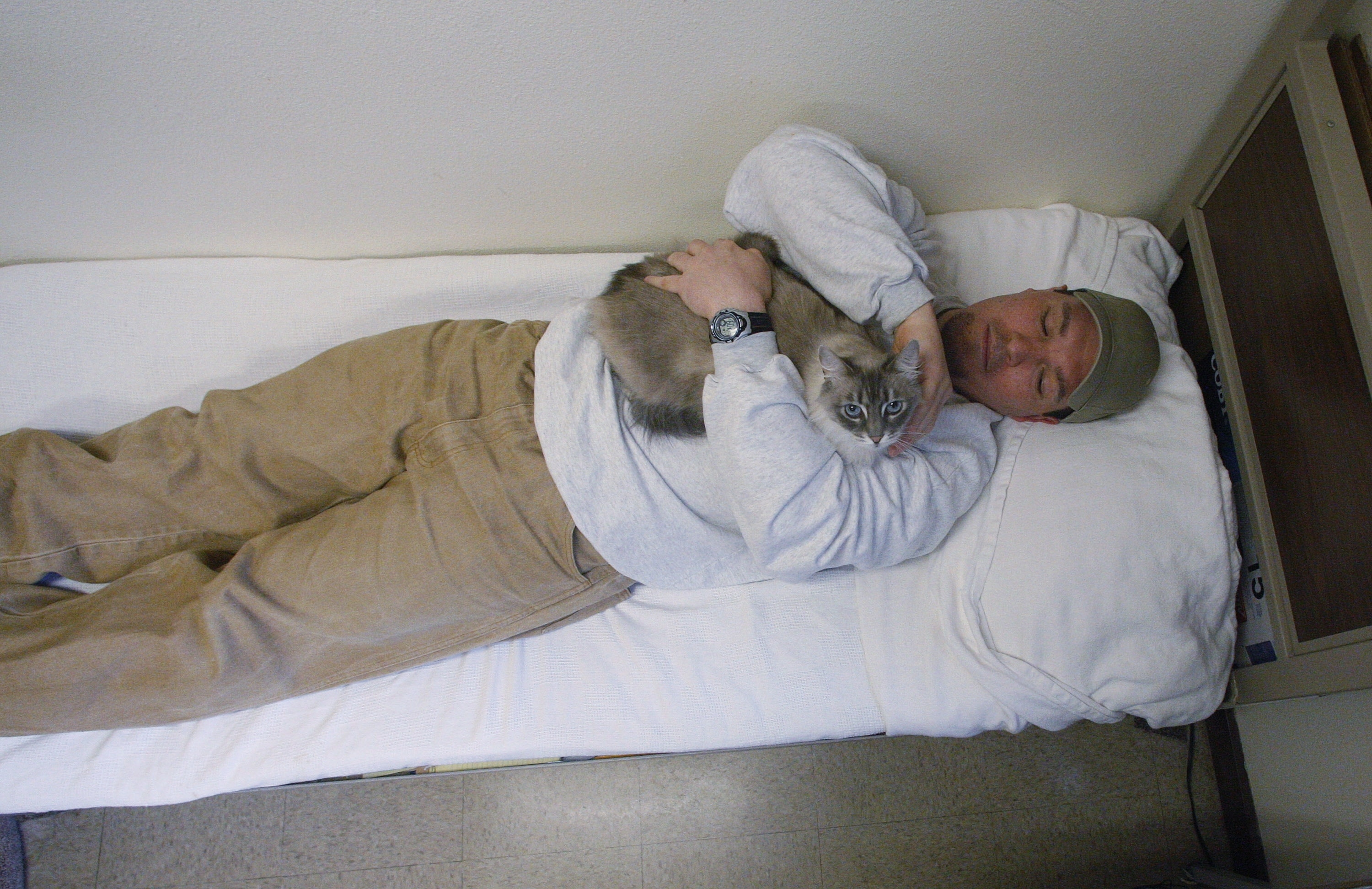 Cats Help Inmates Learn Value of Teamwork | Fox News