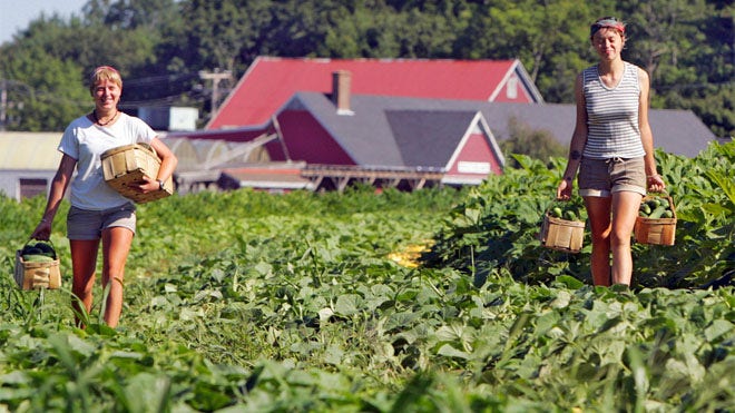 After 380-plus years, New Hampshire family sells farm | Fox News