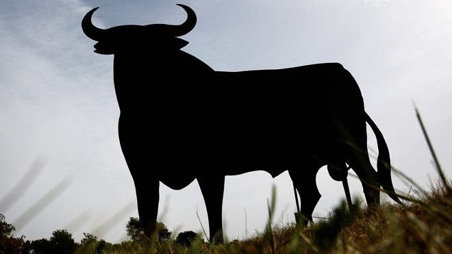 Brazilian 'unicorn' is rare case of bull born with one perfectly ...