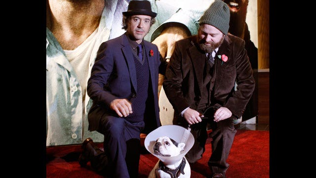 Fox 411 Movie Review: 'Due Date' | Fox News