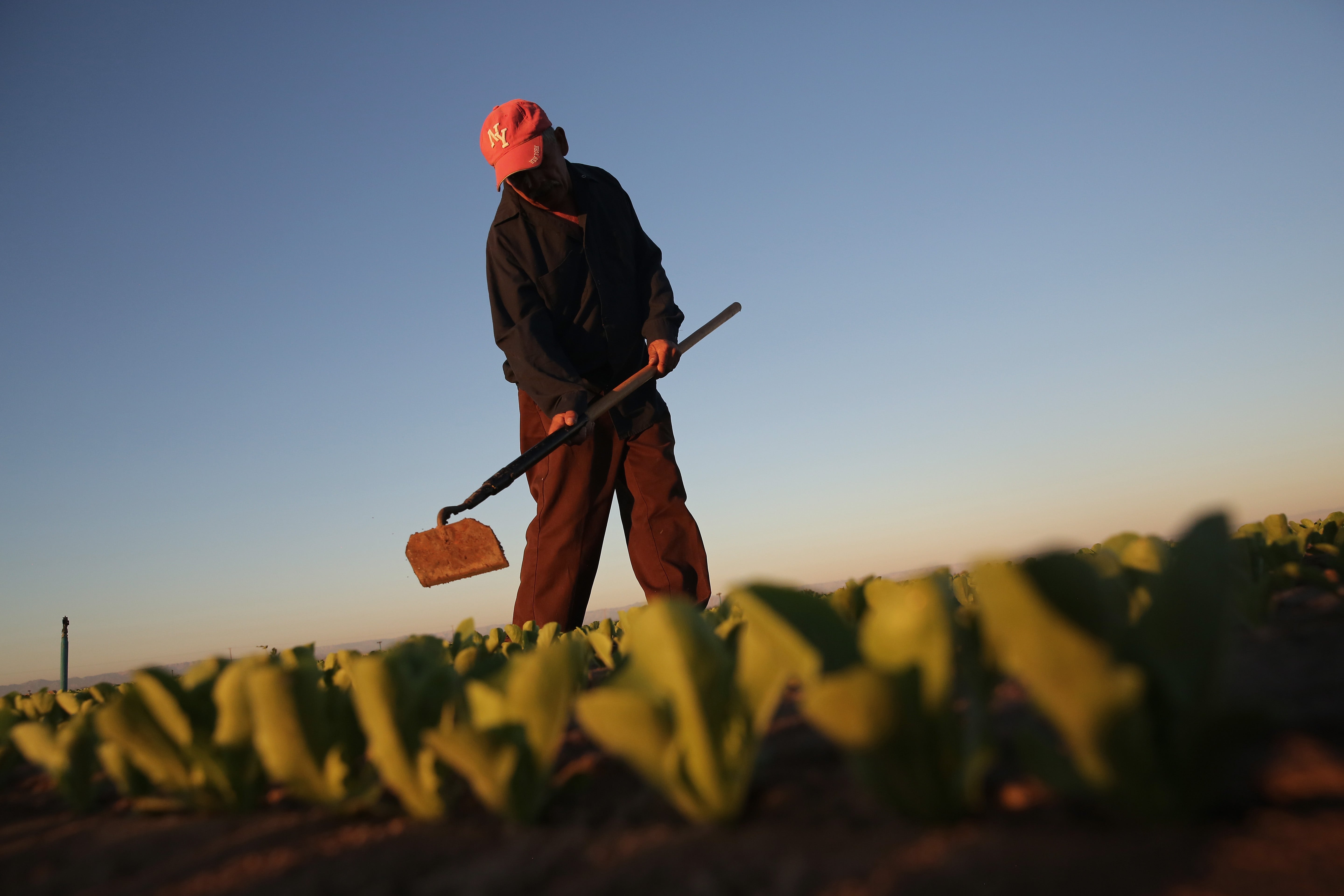 Migrant Farm Workers Sue DuPont Pioneer Seed Company Over Underpaid ...