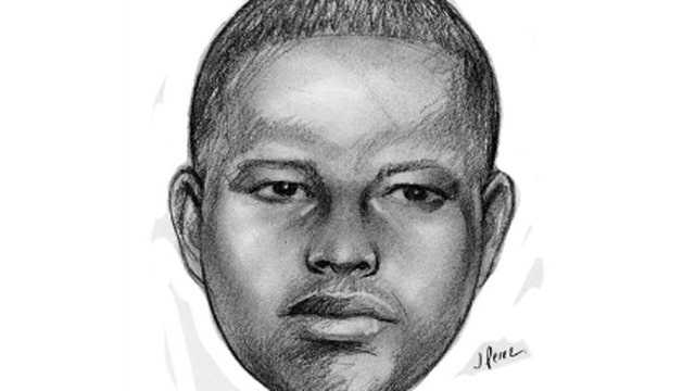 New York City Police Arrest Suspect in String of Firebomb Attacks | Fox ...