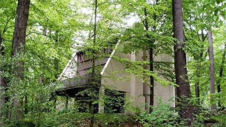 Frank Lloyd Wright-Inspired 'Treehouse' in Pennsylvania Up for Grabs at ...
