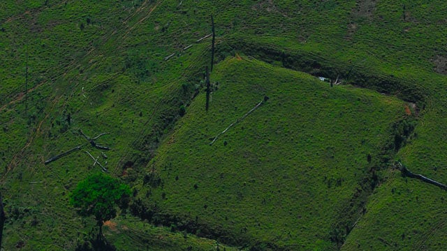 Ancient Earth Carvings Found in Amazon Jungle | Fox News