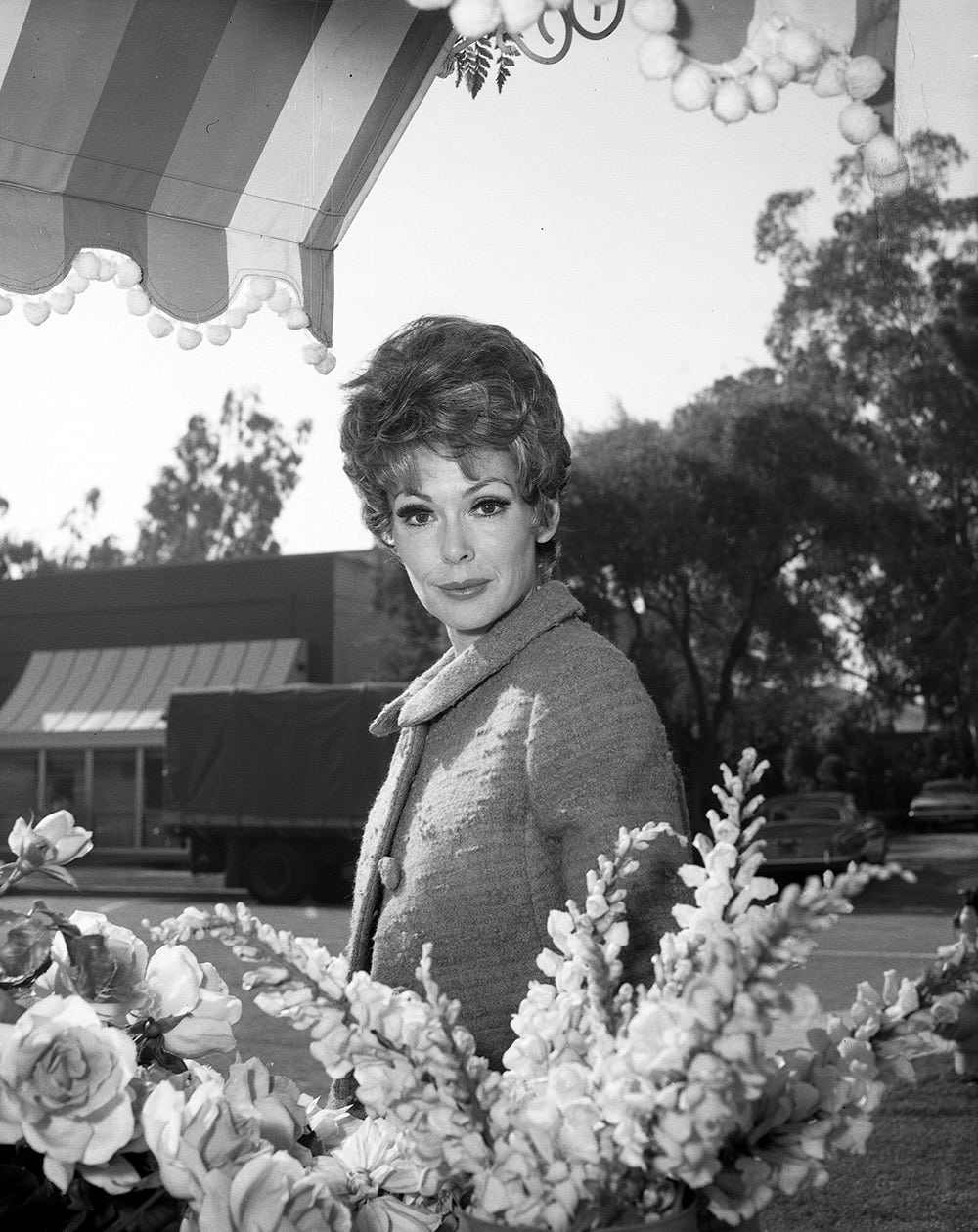 Barbara Rush Actress Biography