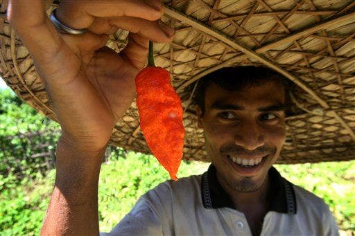 Ghost pepper sends man to hospital for 23 days | Fox News