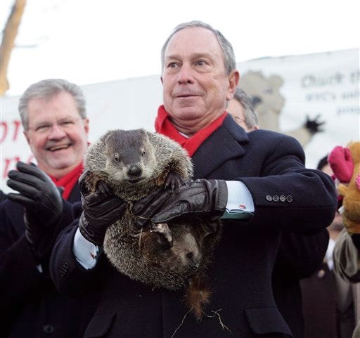 Bites and escapes: When groundhogs misbehave | Fox News