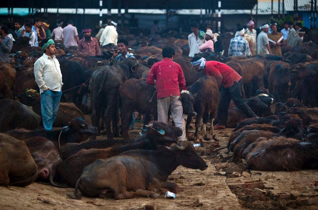 India's emboldened Hindu hardliners push for beef ban in what could ...
