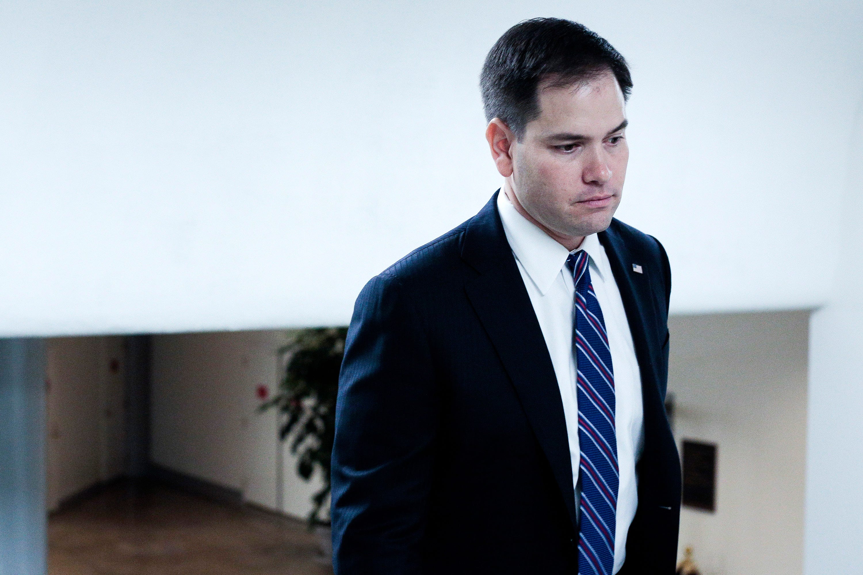 Marco Rubio Says Immigration Reform Does Not Equal Amnesty | Fox News