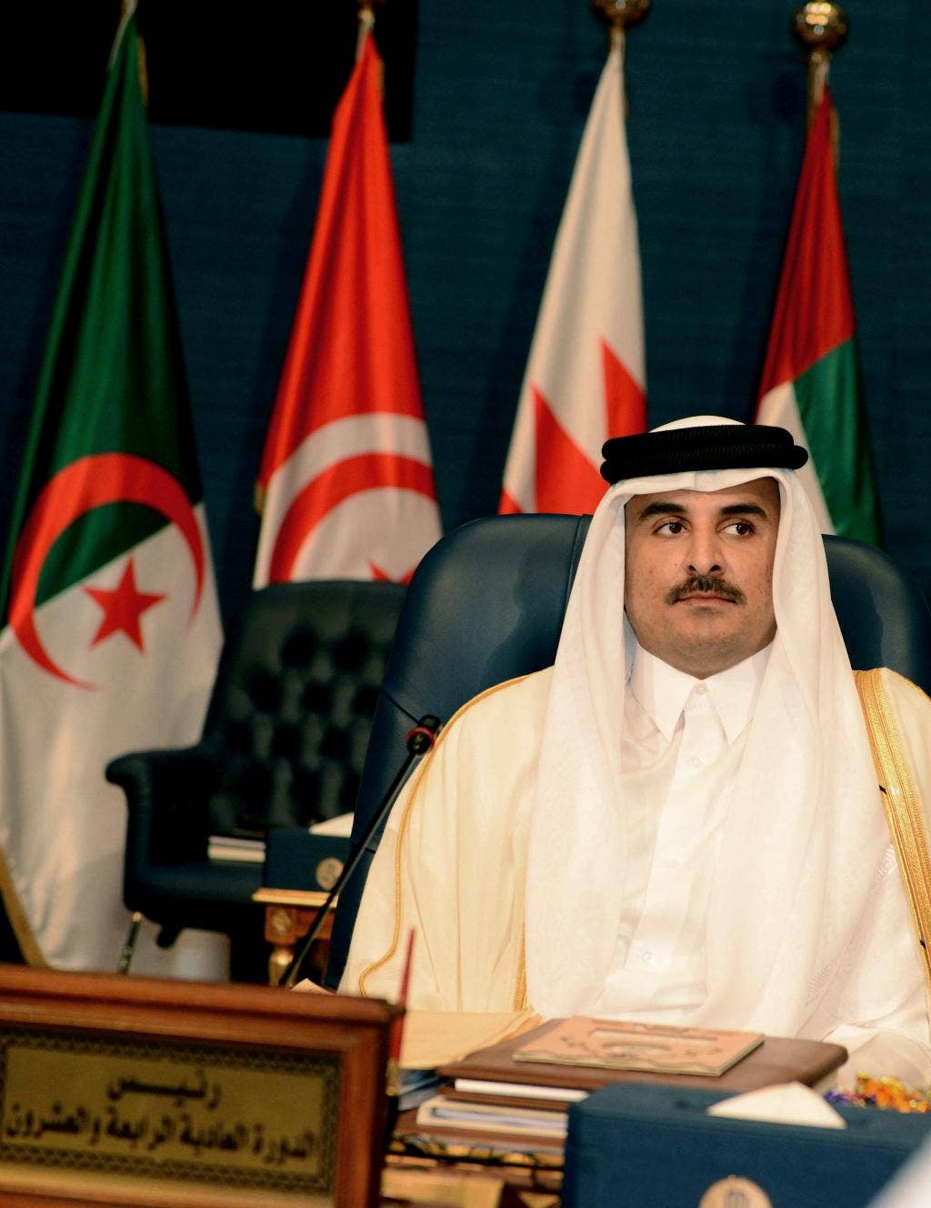Qatari ruler says US-led airstrikes against IS not enough to defeat ...